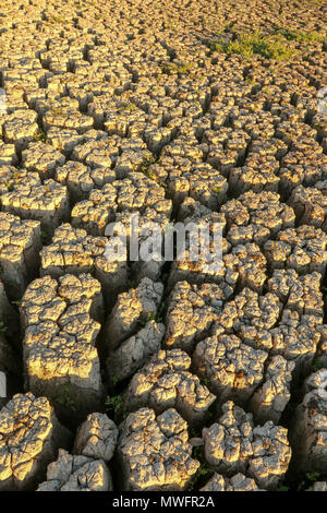 Dry lake bed patterns, Oudtshoorn, , garden route, south africa Stock ...