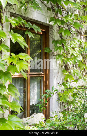 Ingrown summer house Stock Photo - Alamy