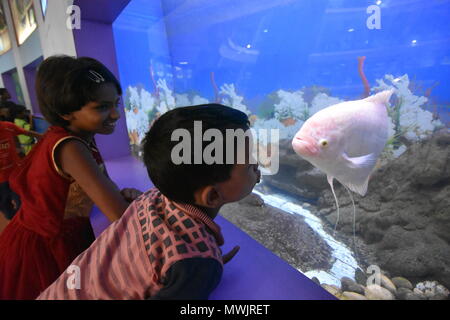 A girl and a boy interacting with freshwater fish at the Dynamotion ...