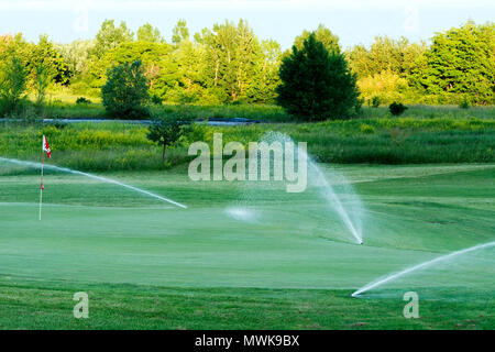 Golf course at Lake Balaton, Hungary Stock Photo - Alamy
