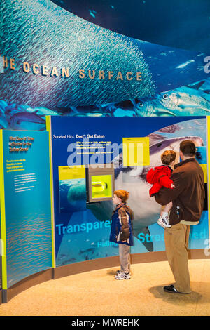 WASHINGTON DC — The Sant Ocean Hall at the Smithsonian's National ...