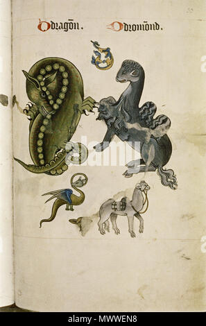 . English: Bodleian Library, MS. Ashmole 1511, The Ashmole Bestiary ...