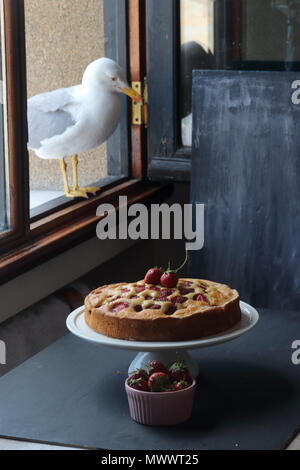homemade strawberry cake and seagull Stock Photo - Alamy