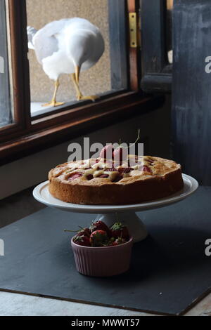 homemade strawberry cake and seagull Stock Photo - Alamy