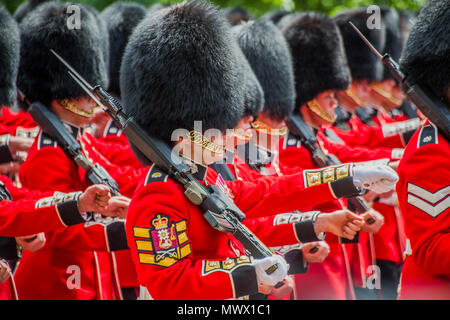 Lieutenant General Sir James Bucknall, Colonel of the Coldstream Guards ...