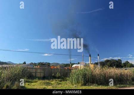 pine lumber yard in Coldstream Coldstream town, Eastern Cape, South ...