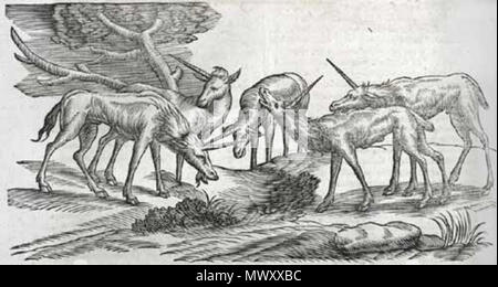 621 Unicorns 1675 Stock Photo - Alamy