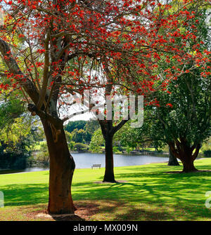 Shenton Park Perth Jualbup lake Stock Photo - Alamy