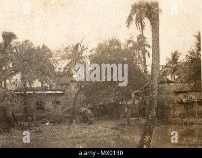 vintage photo nature photography Stock Photo - Alamy