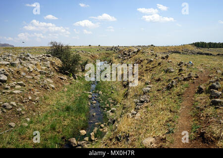 Footpath and small river in Galilee, Israel Stock Photo - Alamy