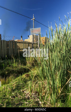 pine lumber yard in Coldstream Coldstream town, Eastern Cape, South ...