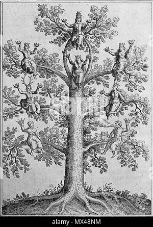 . Deutsch: Philosophischer Baum. Abb. in Johann Daniel Mylius: Anatomia ...