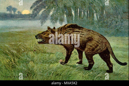 Hyaenodon Heinrich Harder Stock Photo - Alamy