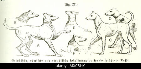 . Ludwig Beckmann (1822-1902): Illustration in: Geschichte und ...