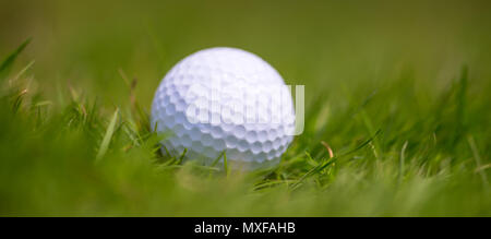Macro of a golf ball in natural grass of golf course Stock Photo - Alamy