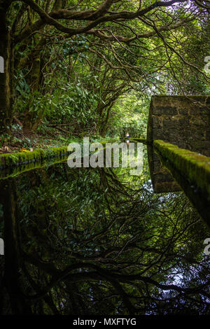 Levada (irrigation channel) on Sao Miguel in the Azores, Portugal Stock ...