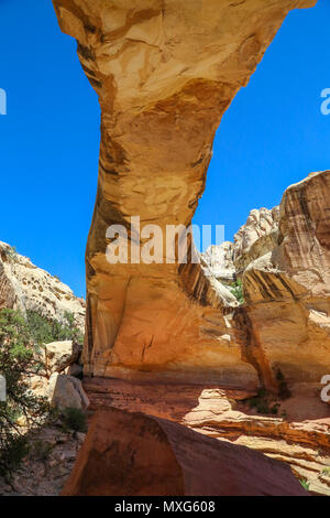 Hickman Bridge arch in Capitol Reef National Park in Utah Stock Photo ...
