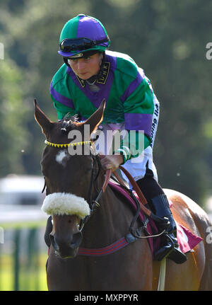 Paula Muir, jockey Stock Photo - Alamy