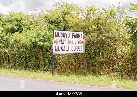 Mubuyu coffee farm, Zambia Stock Photo - Alamy