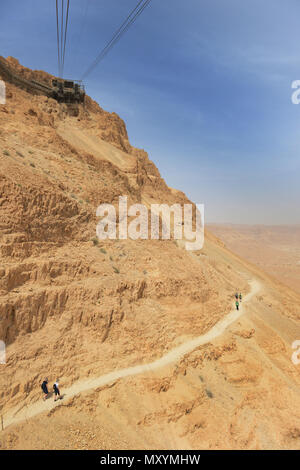 A snake on the hiking trail in the Koscieliska valley in the Western ...