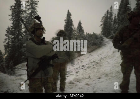 German army soldiers with the Recon Platoon, Jager Battalion 292 pose ...