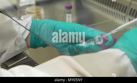 Microbiologist is conducting research and doing tests with biological ...