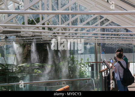The interior of the Tropical Ravine in Botanic Gardens, Belfast ...