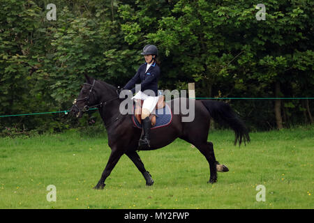 Pontargothi Show 2018 Stock Photo - Alamy