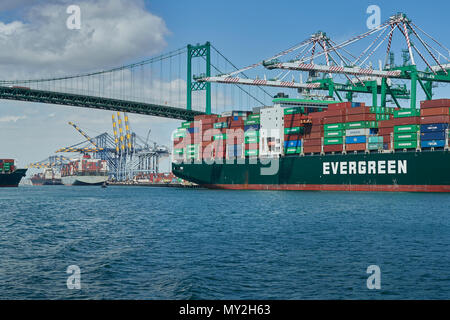 The Giant Container Ship EVER LIBRA, Loading And Unloading At The ...