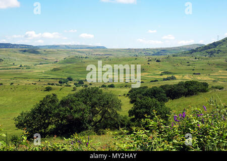 Spring in Sardinia countryside Stock Photo - Alamy