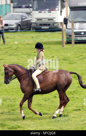 Pontargothi Show 2018 Stock Photo - Alamy