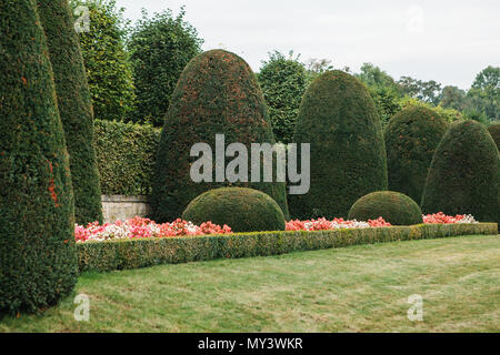 Cozy well-groomed park or garden with plants and flowers in Prague in ...