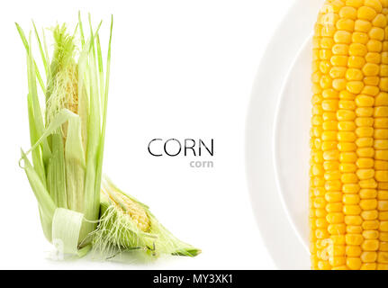 Rows of ripe golden corn on a background of blue sky with clouds ...