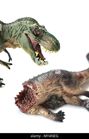 dinosaur bloody body and a tyrannosaurus at background selective focus ...