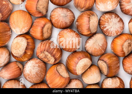 Scattered raw hazelnuts in shell close up Stock Photo - Alamy