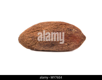 Brazil nuts in shell isolated on white background Stock Photo - Alamy