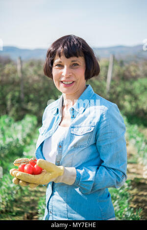 A handful of tomatoes Stock Photo - Alamy