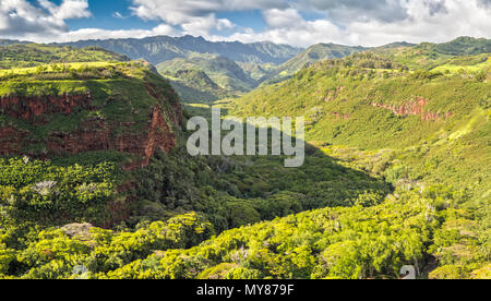 Impression of the Beautiful Garden Island Kauai Stock Photo - Alamy