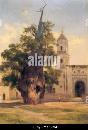 Ahuehuete noche triste Stock Photo - Alamy