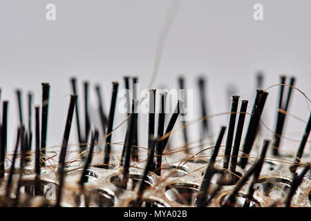 A fragment of a circular massage comb under a microscope. There are ...