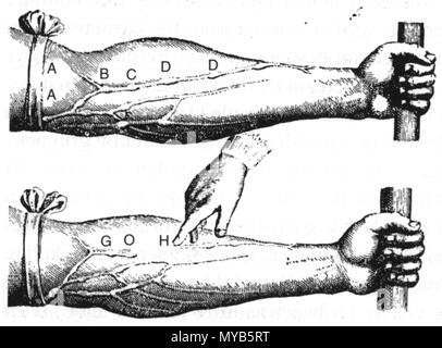 UPPER LIMB, BLOOD CIRCULATION Stock Photo - Alamy