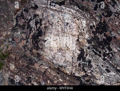 Lewisian Gneiss, Scottish Geology. Balgy, Upper Torridon, Wester Ross ...