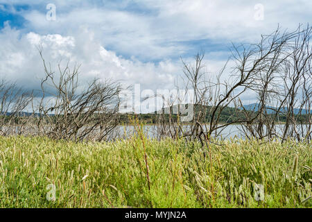 Landscape of lake Baratz, near the Porto Ferro beach, Sardinia, in a ...