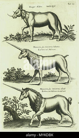 . English: Unicorn. From John Jonston: Historiae Naturalis. 17th ...