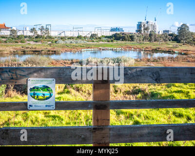 Wetlands Viewing Platform Stock Photo - Alamy