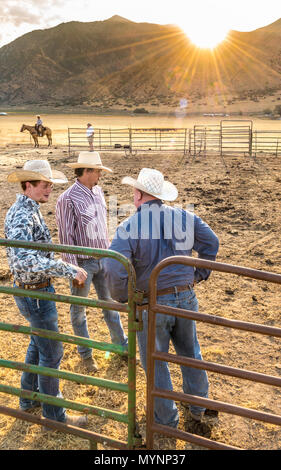 Three cowboys standing in a field next to a truck Stock Photo - Alamy