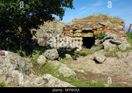 Macomer, Sardinia, Italy. Tamuli archeological area Stock Photo - Alamy