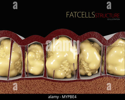 Body fat texture, fat mass, Background of human body fat. Excess fat ...