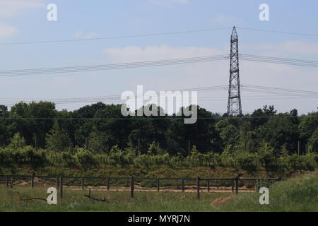 Electricity pylon, Yorkshire Wildlife Park, Branton,Doncaster, South ...