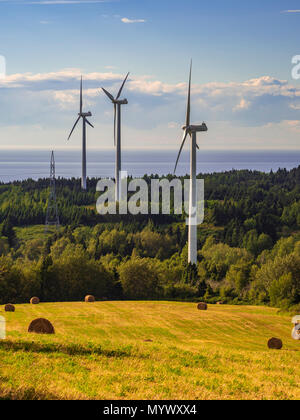 Le Nordais Windmill Park generation station and Eole, world's tallest ...